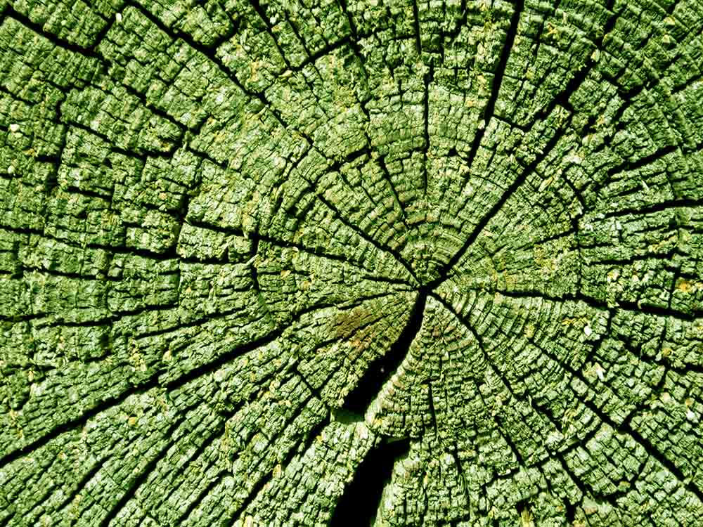 Advancing data interoperability: Exploring ontology mapping for FAIR ...